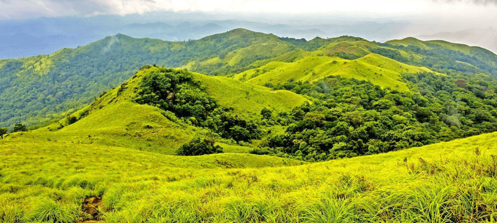 Unveiling Nature's Majesty: The Ultimate Kumara Parvatha Trek Experience